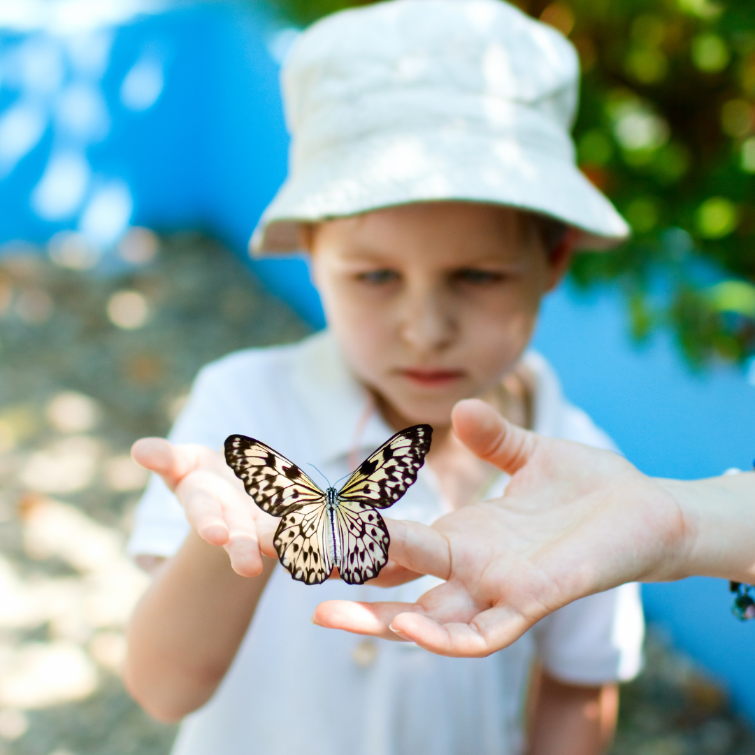 Let's Learn About Bugs and Insects — Nature's Workshop Plus