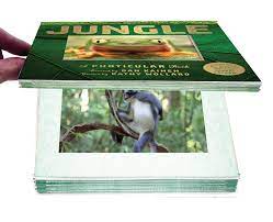 Photicular Books — Nature's Workshop Plus