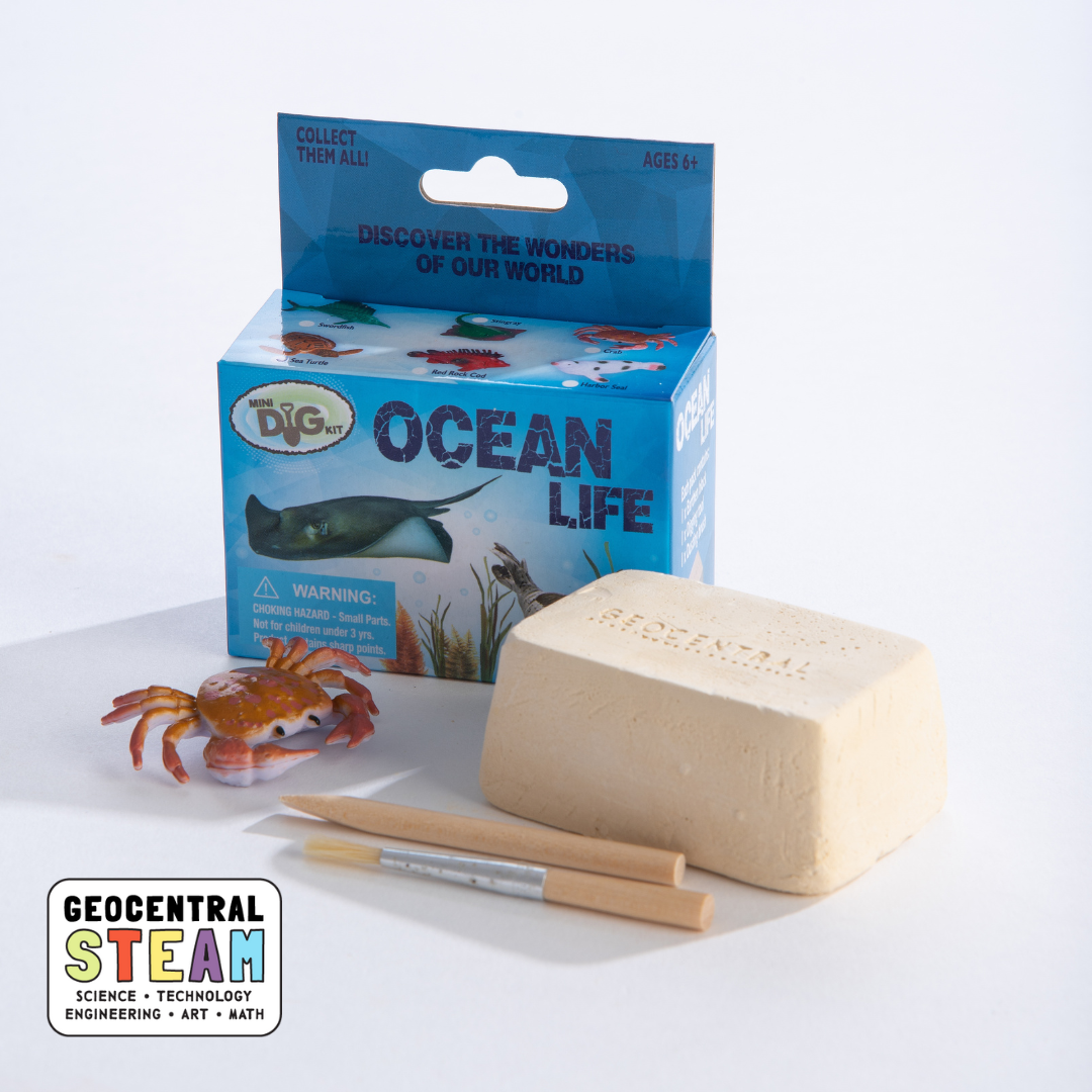 Mini Dig Kit: Ocean Life — Nature's Workshop Plus