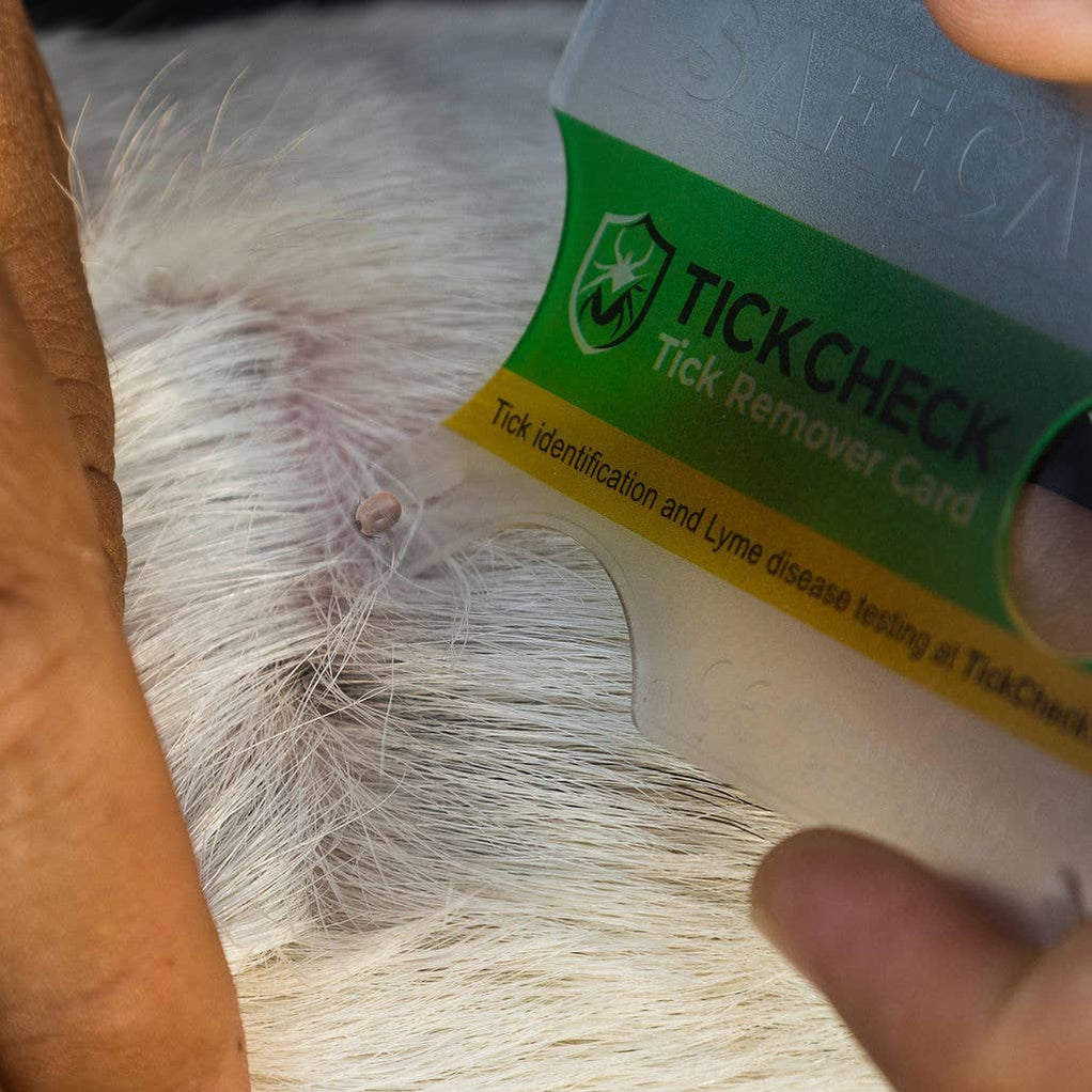 TickCheck Tick Remover Card — Nature's Workshop Plus