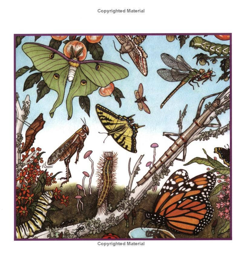 Nature's Workshop Plus! Homeschool Science Kits and More!