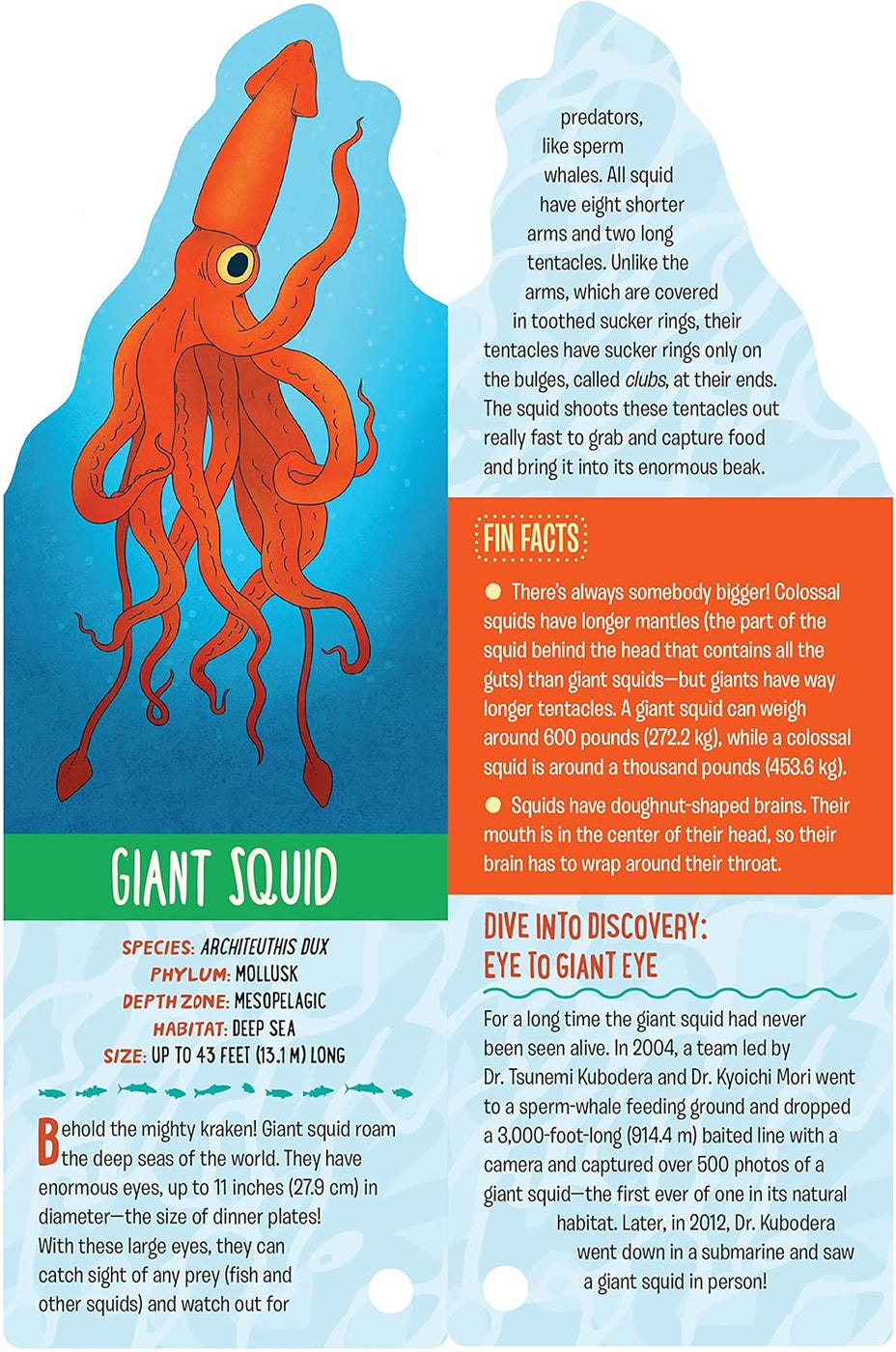 Ocean Fandex - Dive into Marine Life Facts — Nature's Workshop Plus