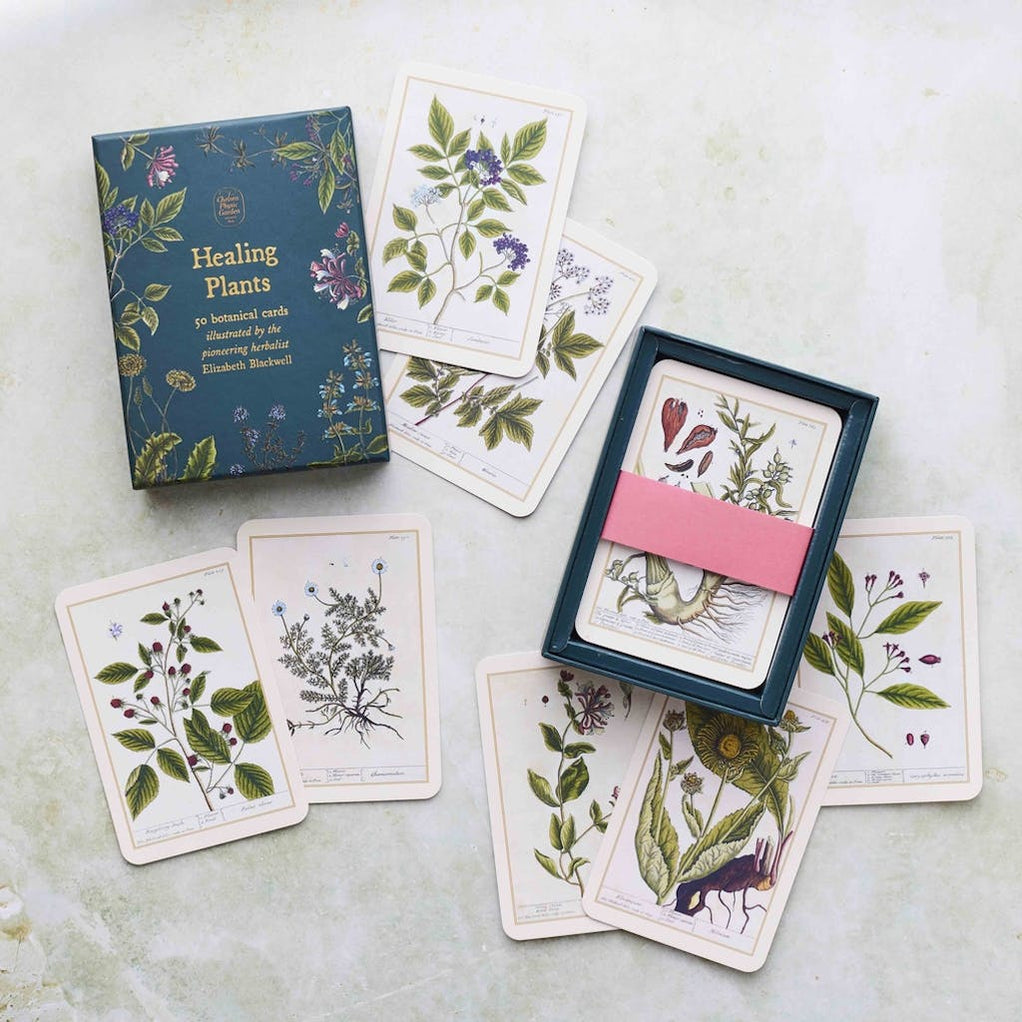 Healing Plants: 50 Botanical Cards — Nature's Workshop Plus