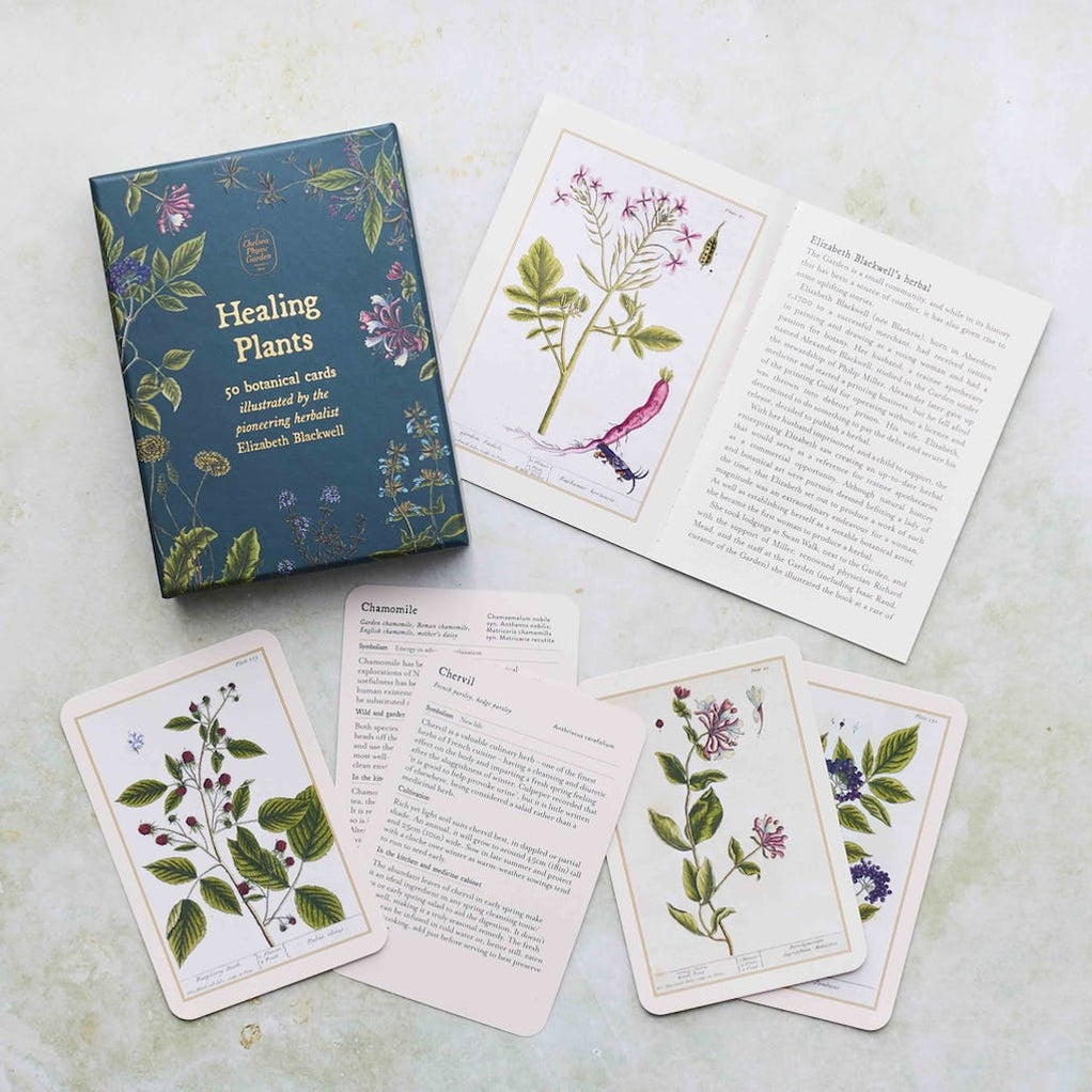 Healing Plants: 50 Botanical Cards — Nature's Workshop Plus