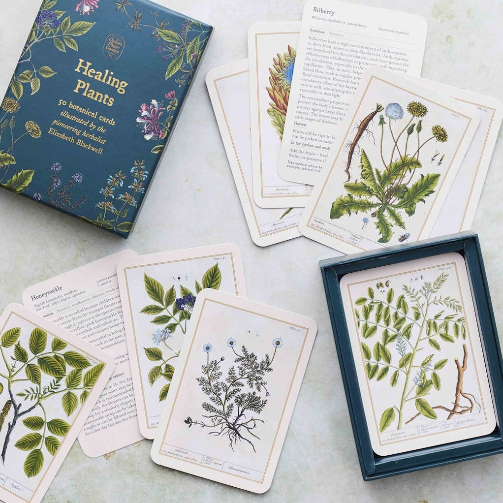 Healing Plants: 50 Botanical Cards — Nature's Workshop Plus