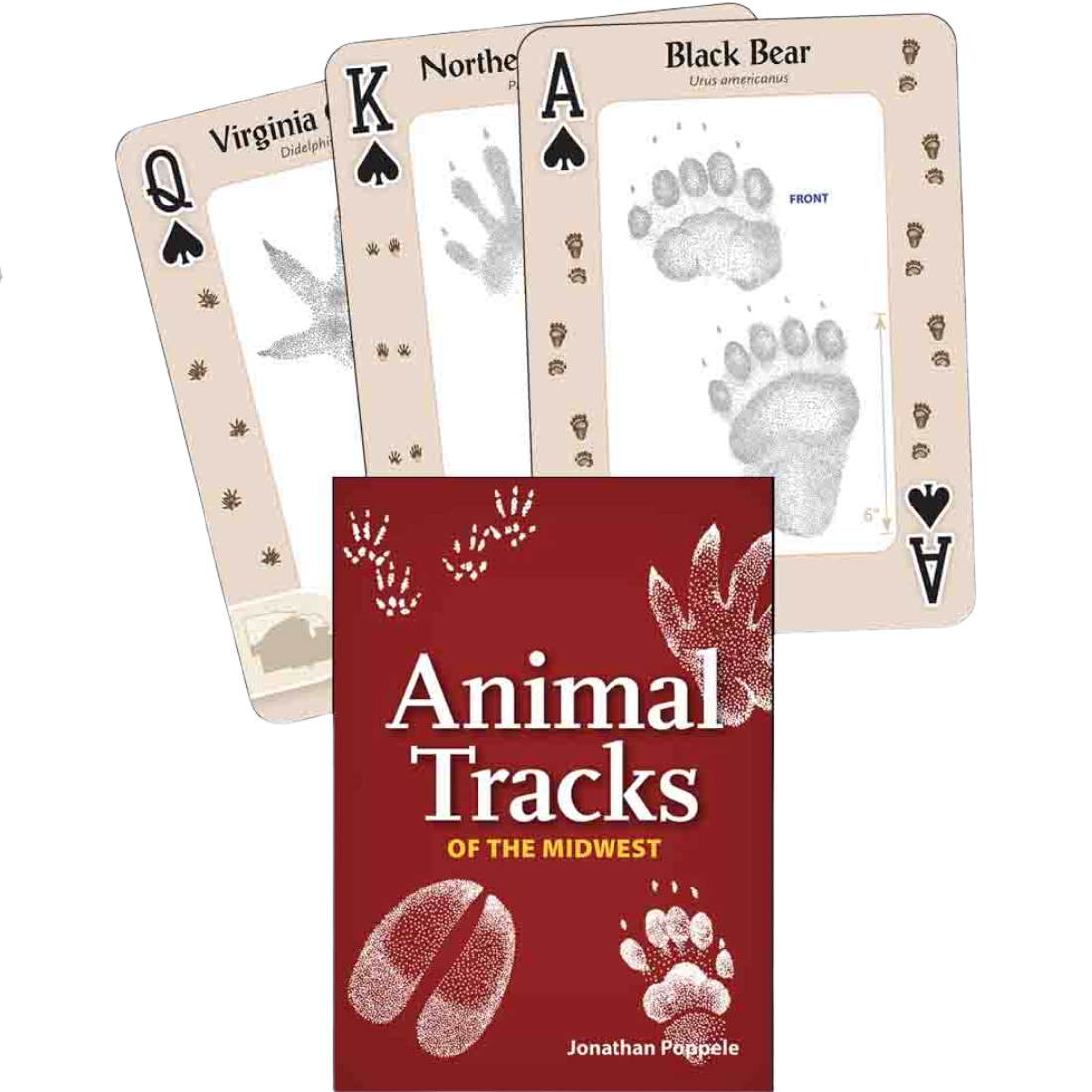 Animal Tracks of the Midwest Playing Cards — Nature's Workshop Plus