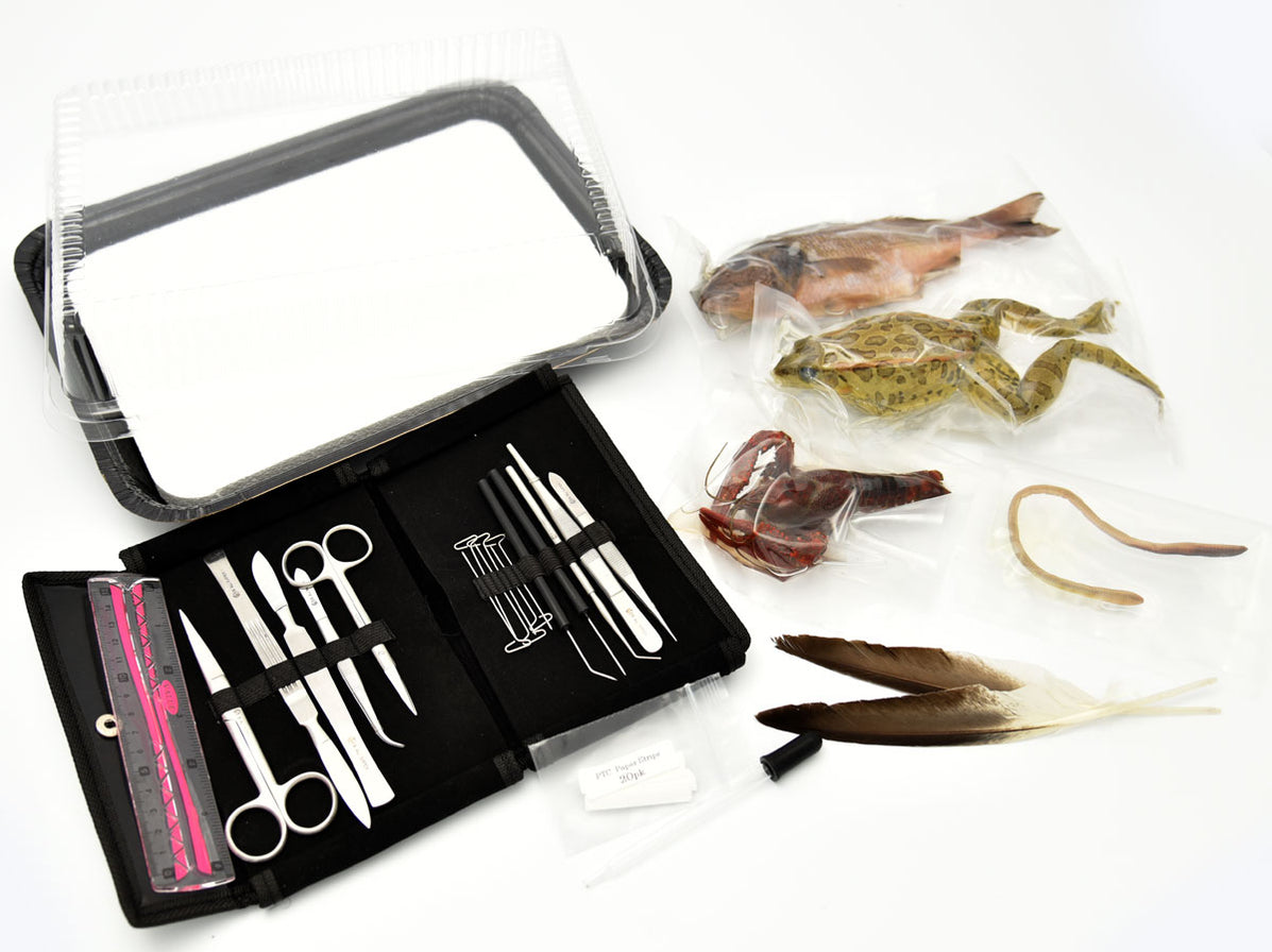 DD w/Biology, Dissection Kit - EPS — Nature's Workshop Plus
