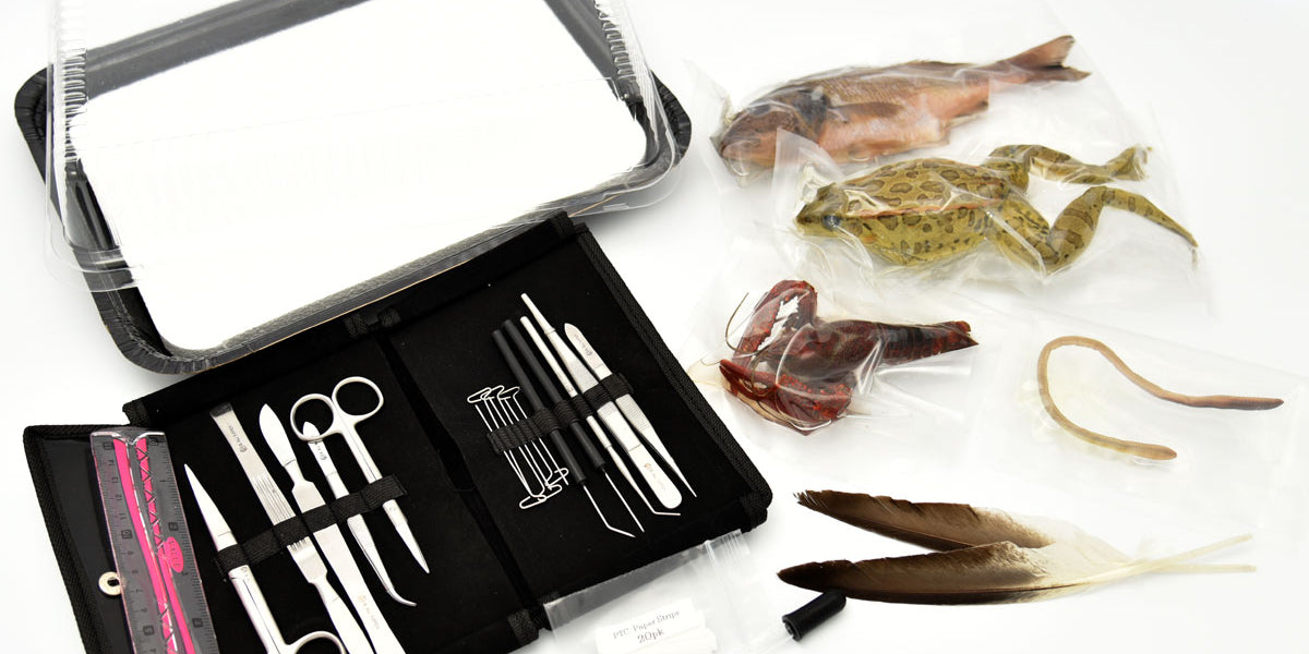 DD w/Biology, Dissection Kit - EPS — Nature's Workshop Plus