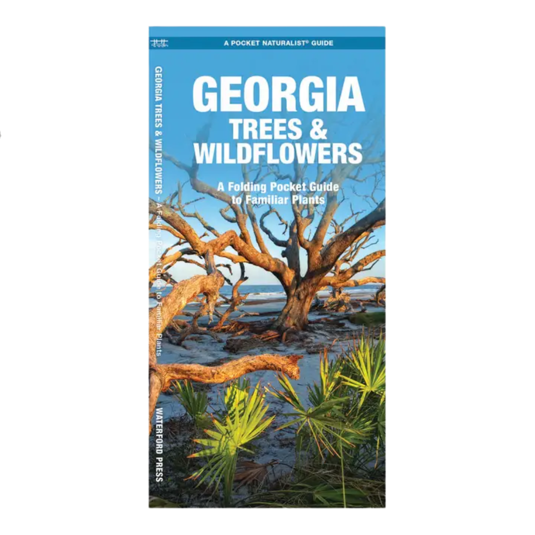 Georgia Trees & Wildflowers Pkt Nat — Nature's Workshop Plus