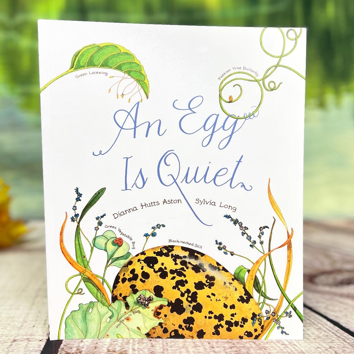 An Egg is Quiet - Nature Exploration for Kids — Nature's Workshop Plus