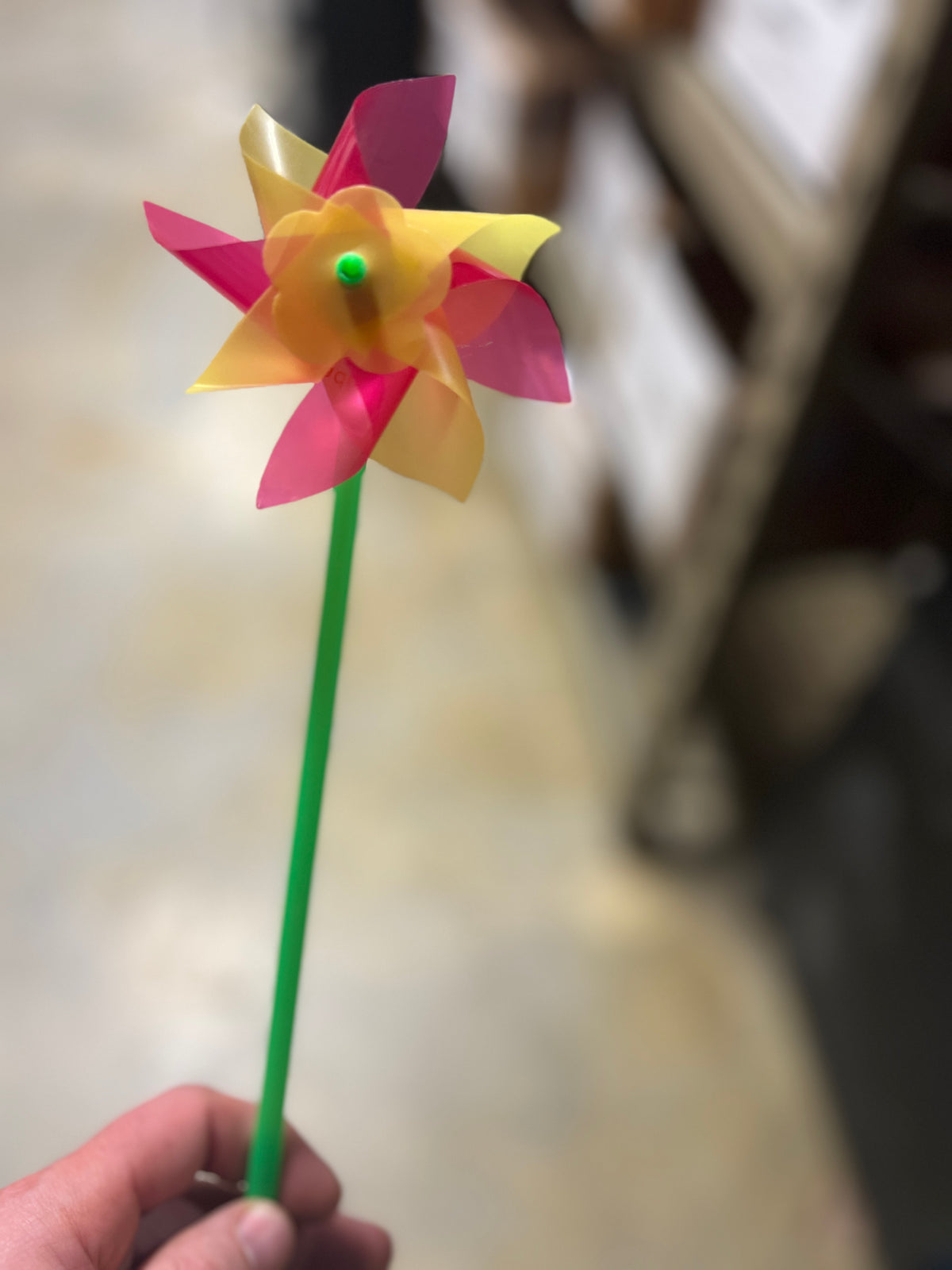 Pinwheel — Nature's Workshop Plus
