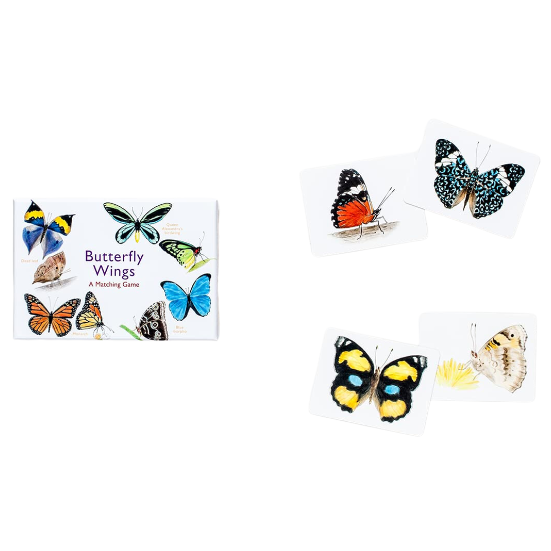 Butterfly Wings Matching — Nature's Workshop Plus