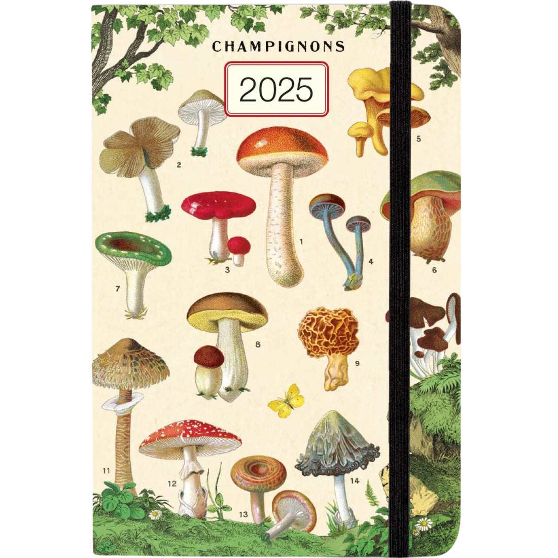 Mushrooms Weekly Planner: Organize Your Week with Fungi Illustrations ...