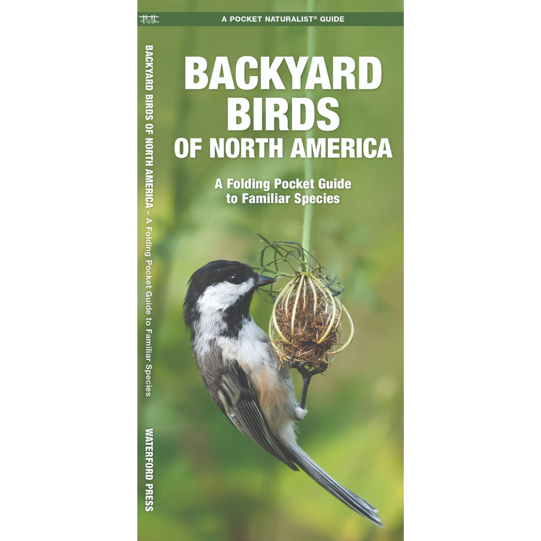 Backyard Birds of North America - Pocket Nature Guide — Nature's ...