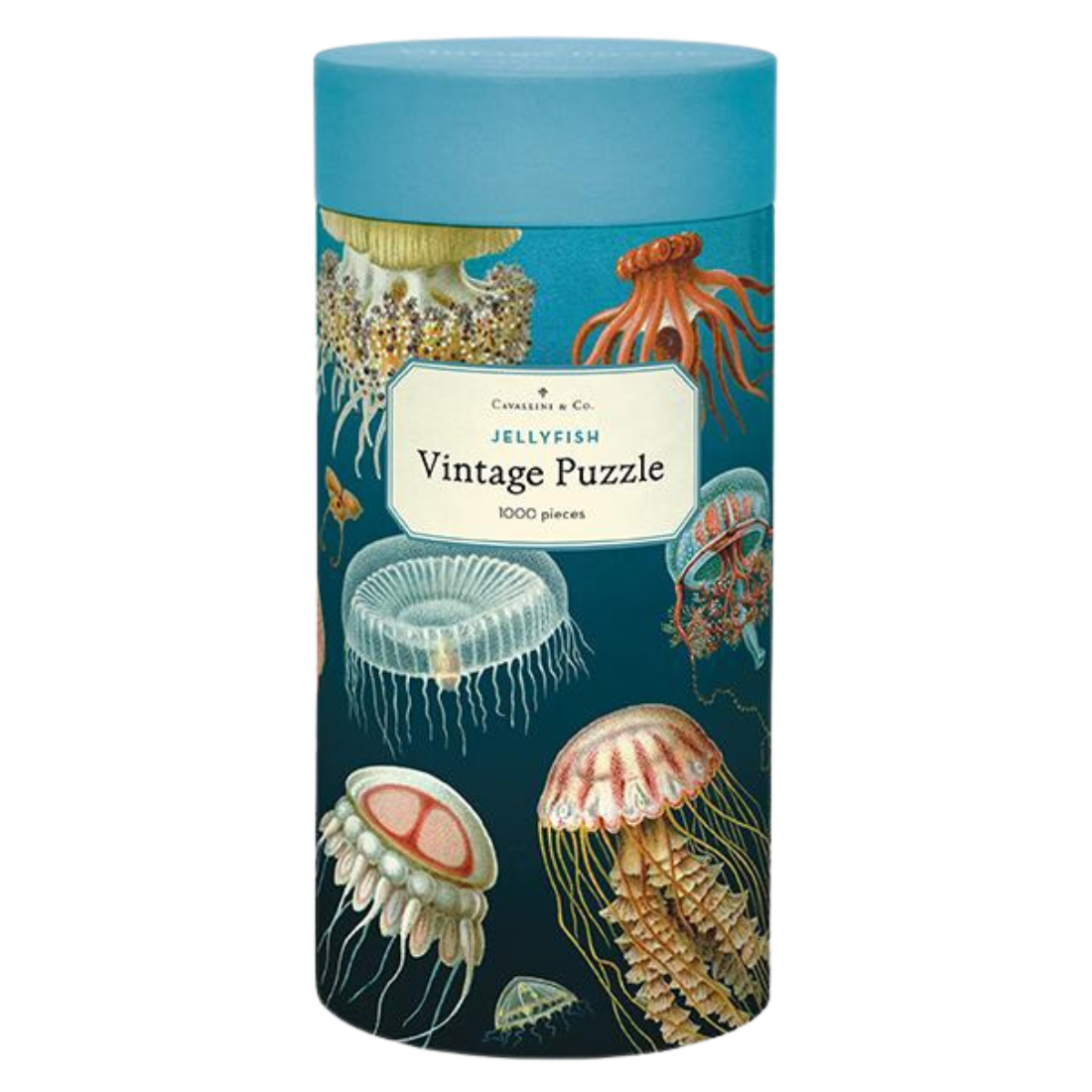 Vintage Jellyfish Puzzle - Mesmerizing Marine Life Art — Nature's ...