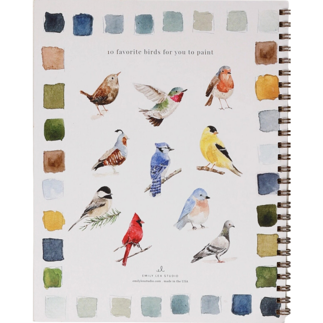 Birds Watercolor Workbook — Nature's Workshop Plus