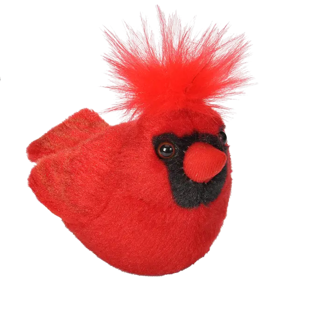 Northern Cardinal W Sound — Nature's Workshop Plus