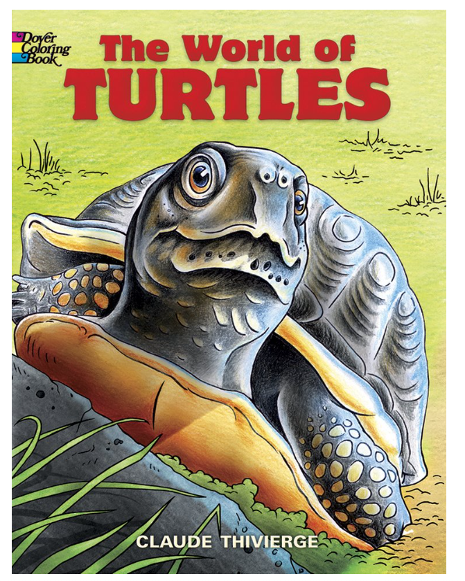 The World of Turtles — Nature's Workshop Plus