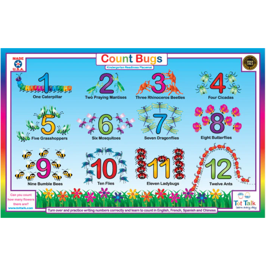 Count Bugs Placemat TT - Placemat helping kids count and identify bugs ...