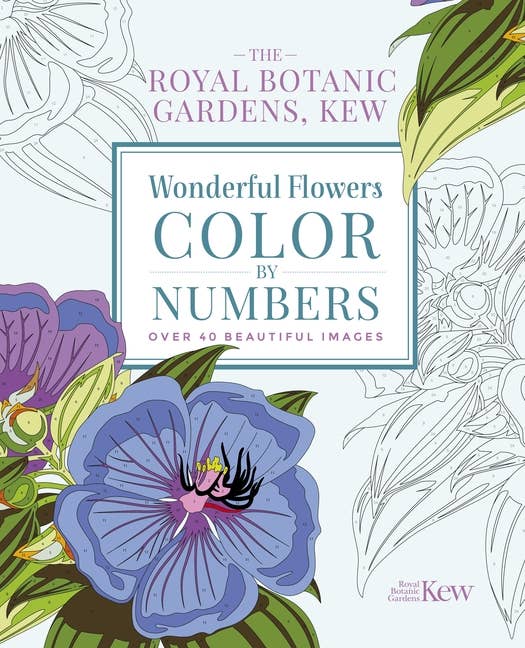 Wonderful Flowers Color-By-Numbers — Nature's Workshop Plus