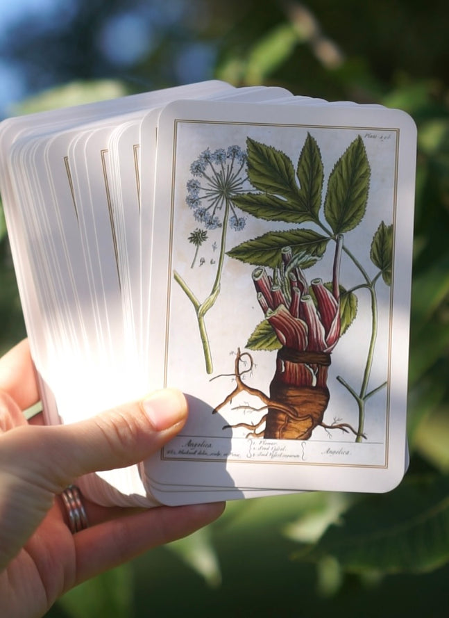 Healing Plants: 50 Botanical Cards — Nature's Workshop Plus