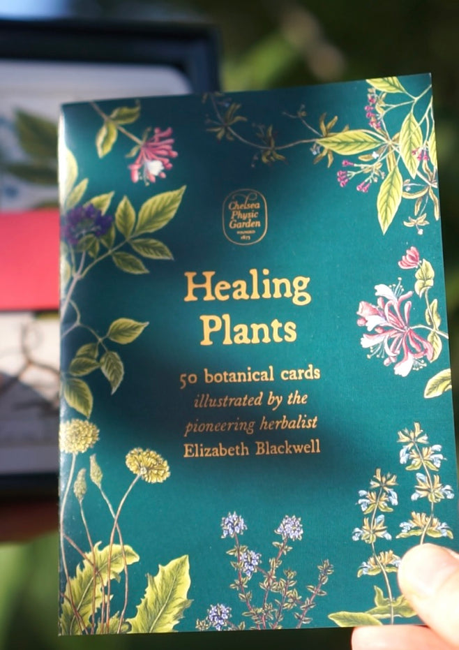 Healing Plants: 50 Botanical Cards — Nature's Workshop Plus