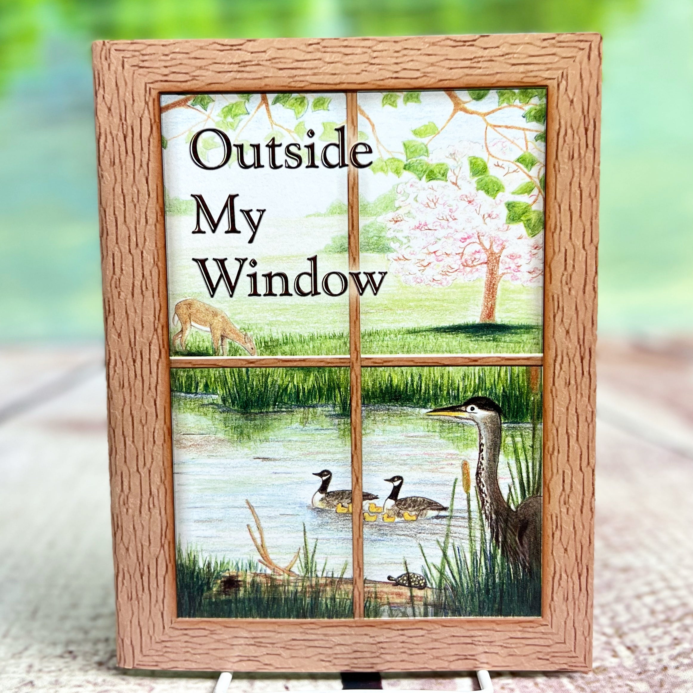 Outside My Window: Nature Through a Childâ??s Eyes — Nature's Workshop Plus