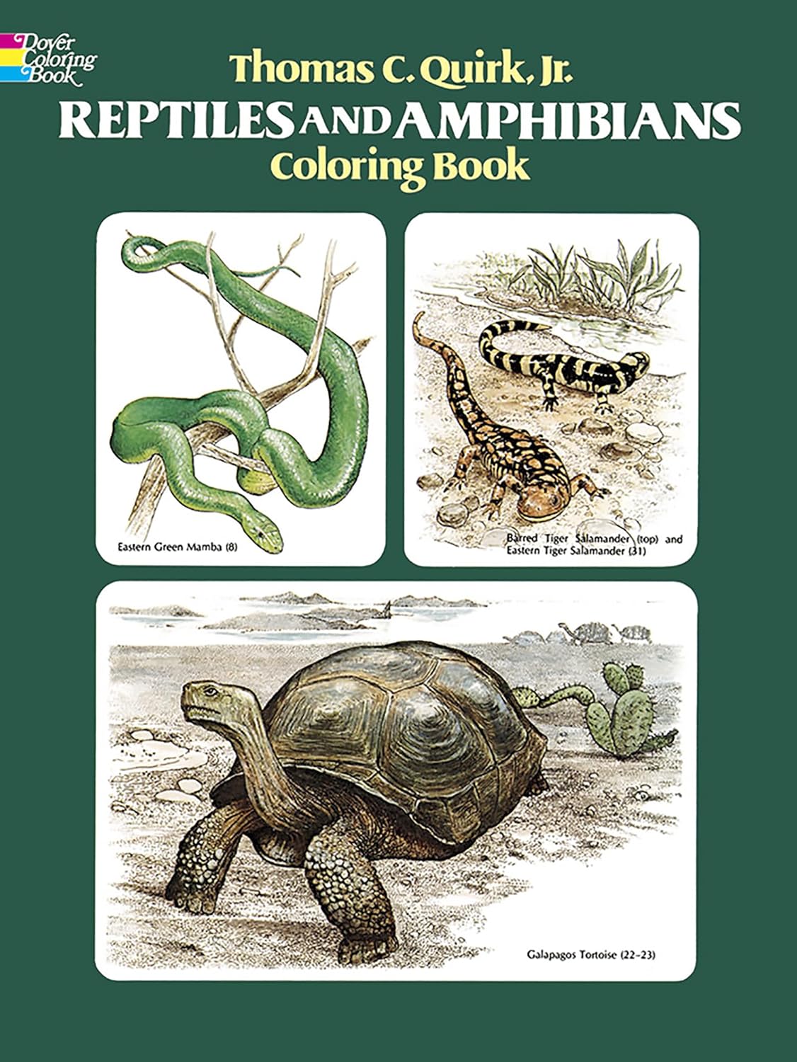 Reptiles and Amphibians Coloring Book — Nature's Workshop Plus