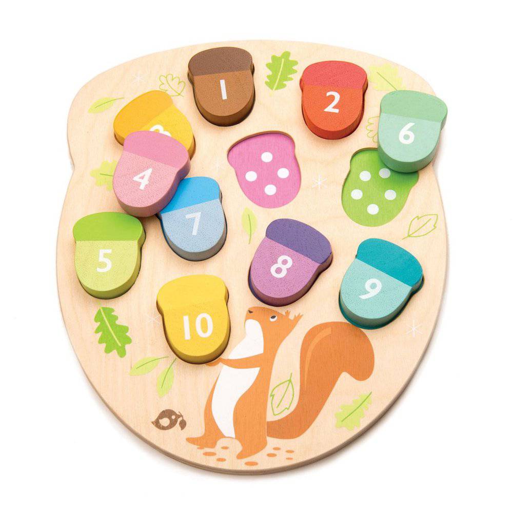 How Many Acorns — Nature's Workshop Plus