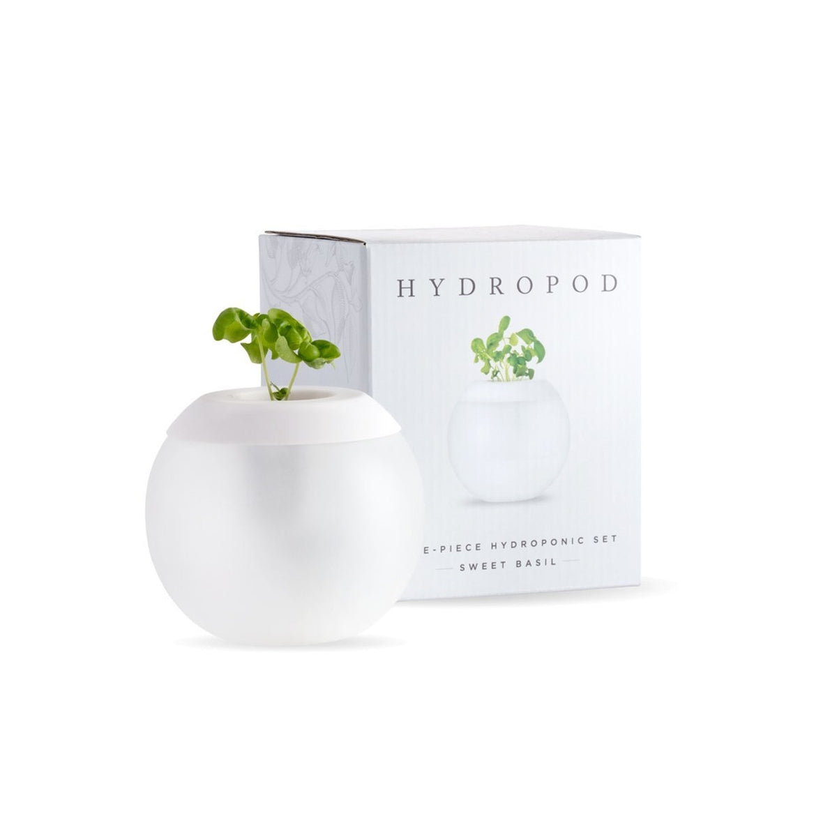 The HYDROPOD-Sweet Basil Grow your own sweet basil at home with this ...