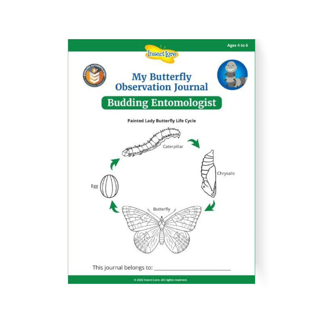 Butterfly Observation Journal- Ages 4 to 6 — Nature's Workshop Plus