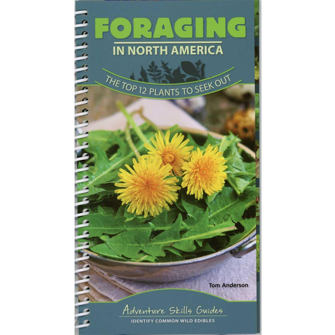 Foraging in North America - Wild Edibles Guide — Nature's Workshop Plus