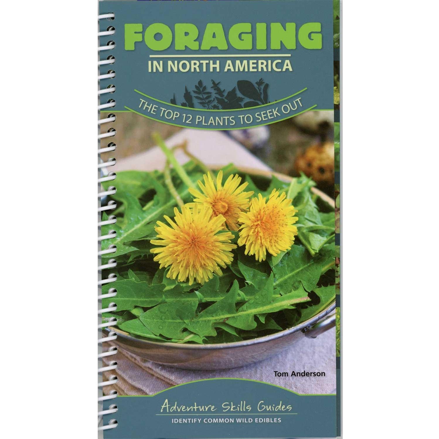 Foraging in North America - Wild Edibles Guide — Nature's Workshop Plus
