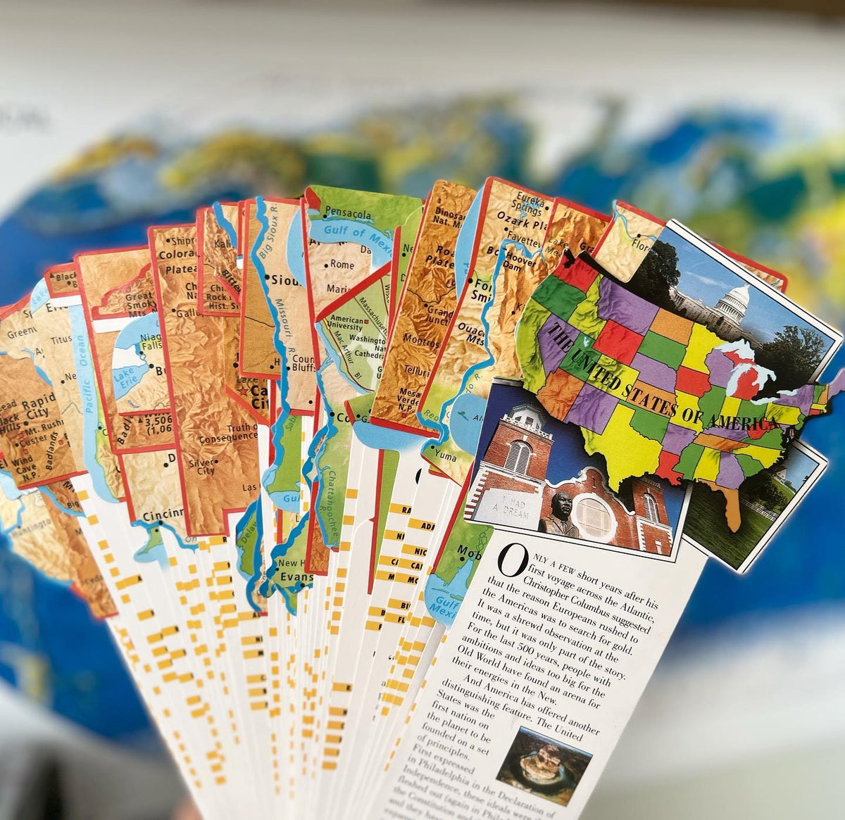 50 States Fandex — Nature's Workshop Plus