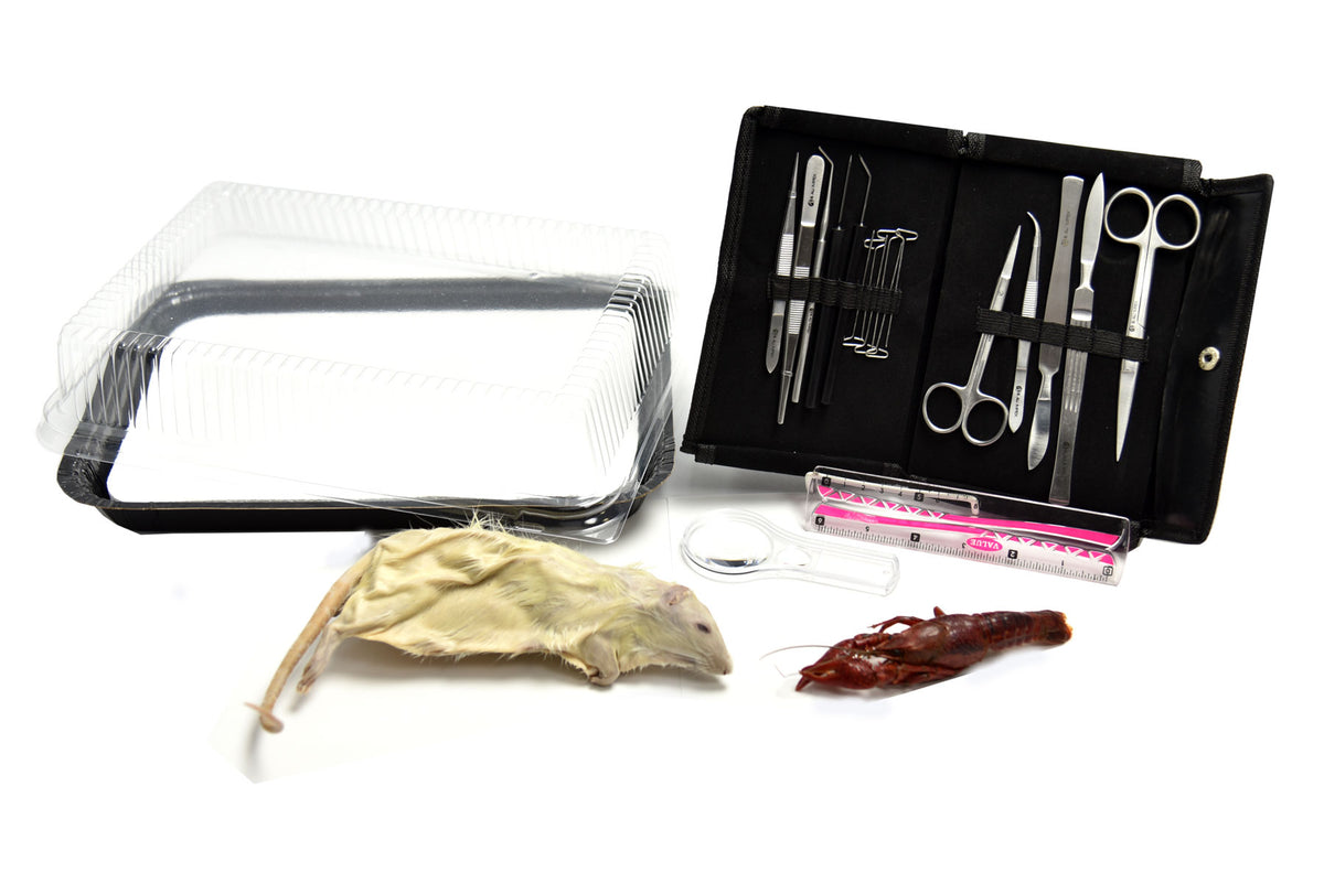BJU Dissection Kit w/Specimens (5th Ed) — Nature's Workshop Plus