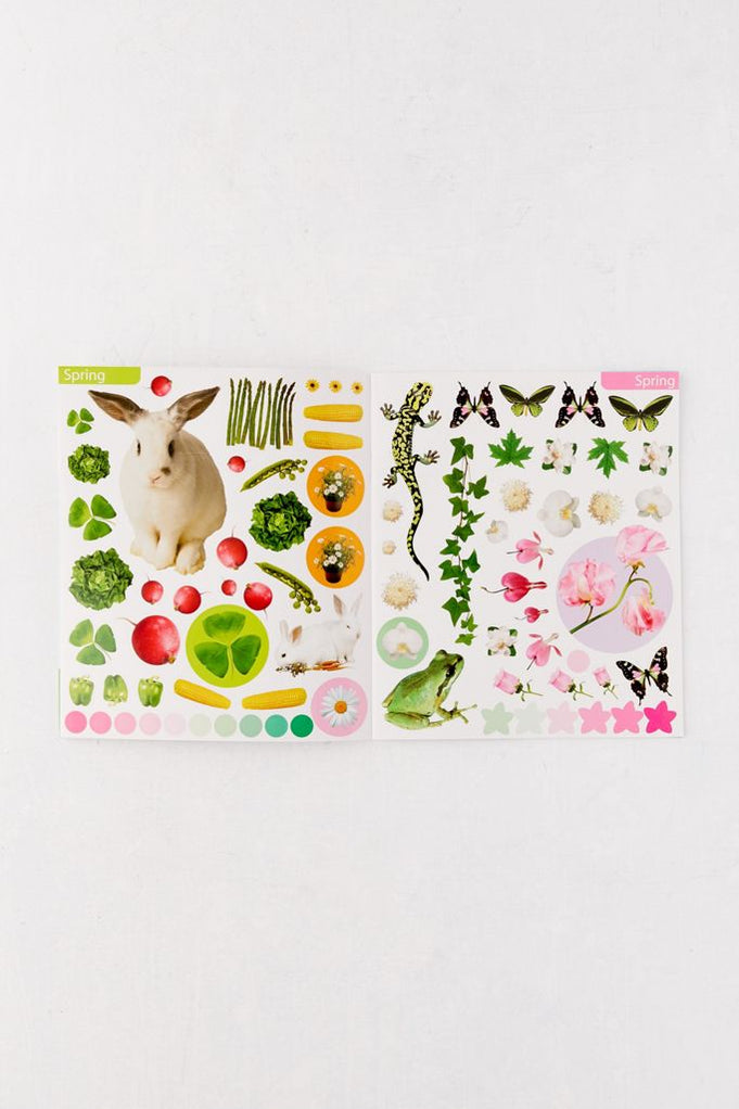 Seasons Eyelike Stickers - Enhance Learning or Fun — Nature's Workshop Plus