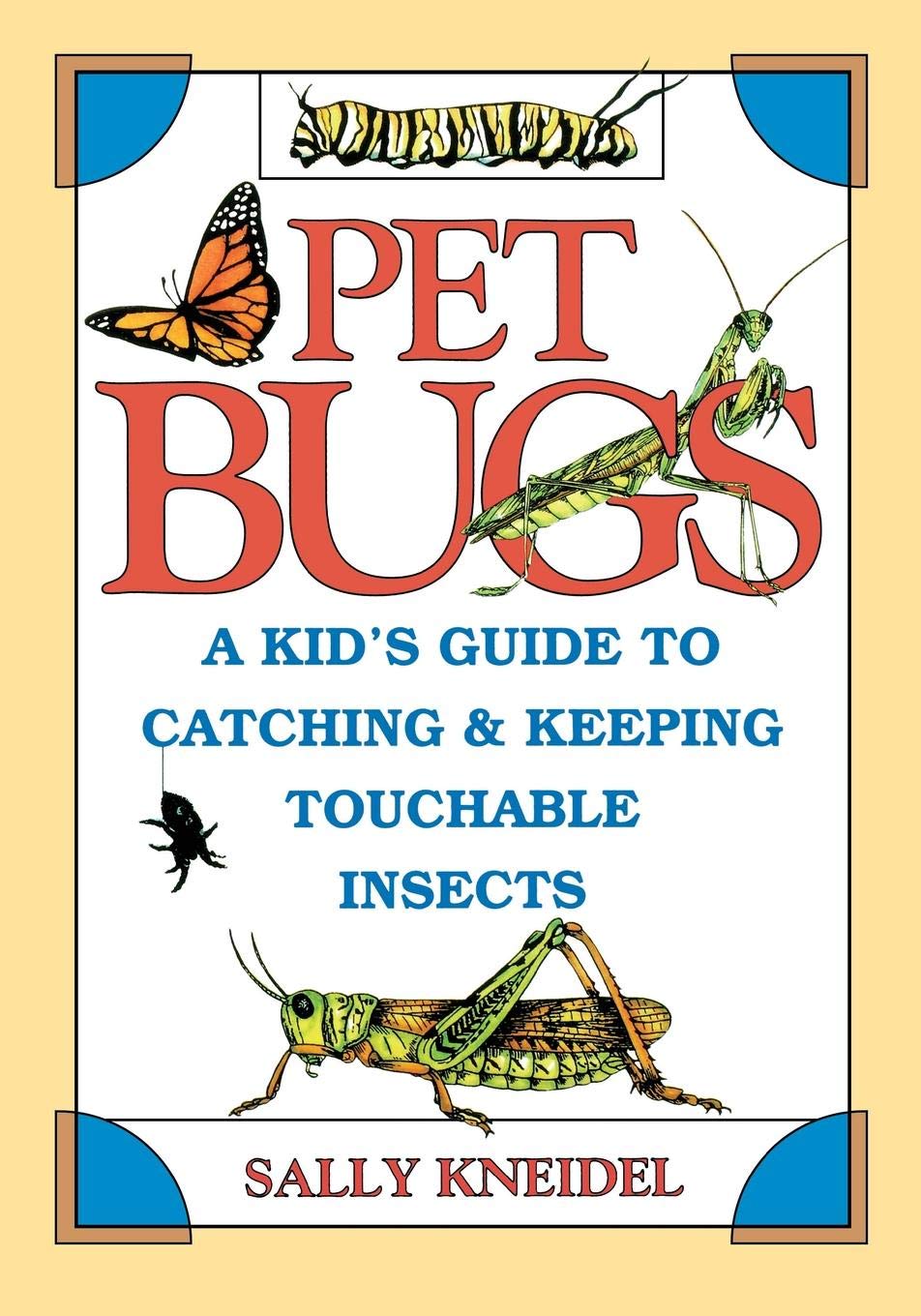 Pet Bugs - Learn About Insect Life and Care — Nature's Workshop Plus