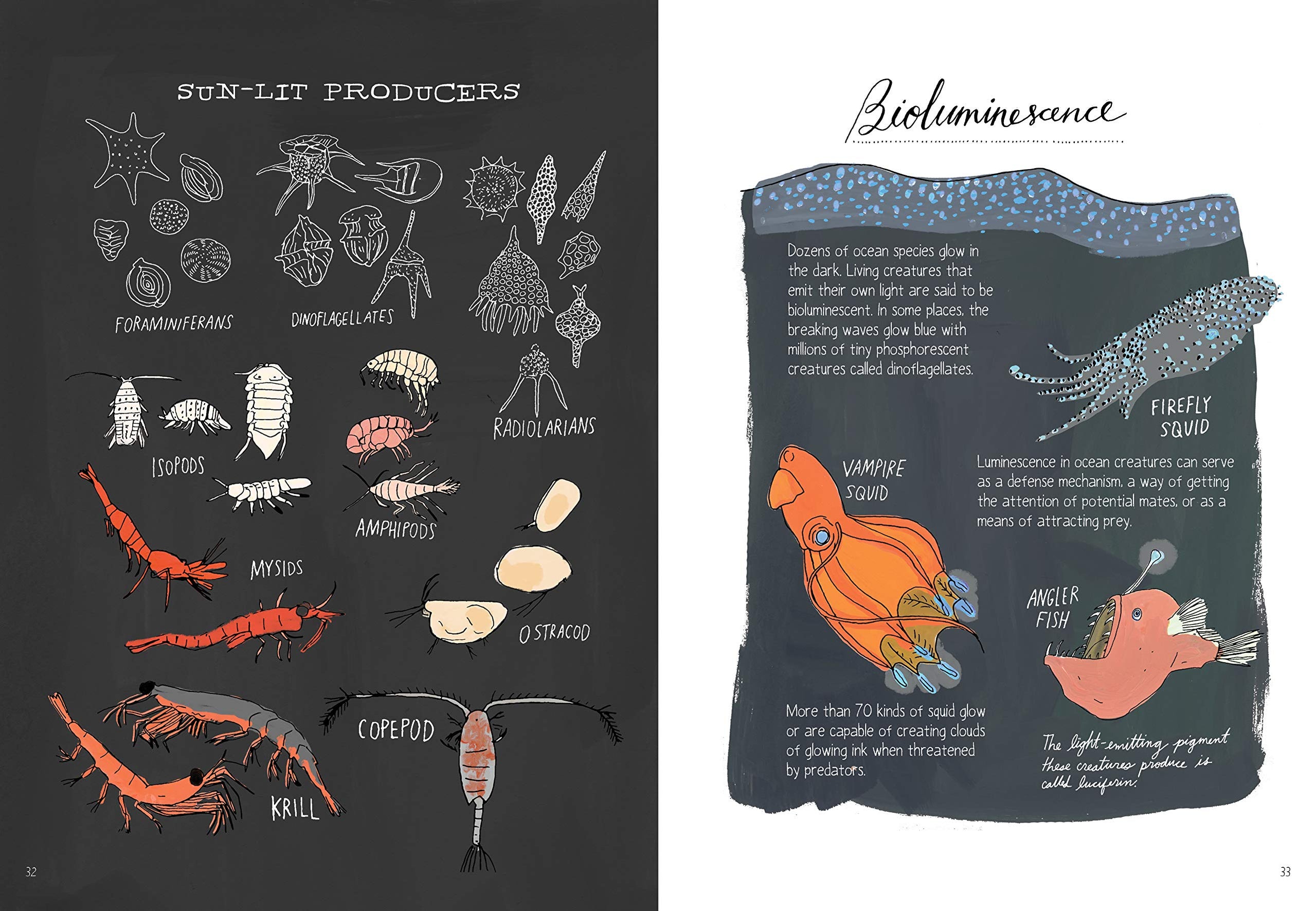 Ocean Anatomy - Dive into Marine Biology and Ecosystems — Nature's ...