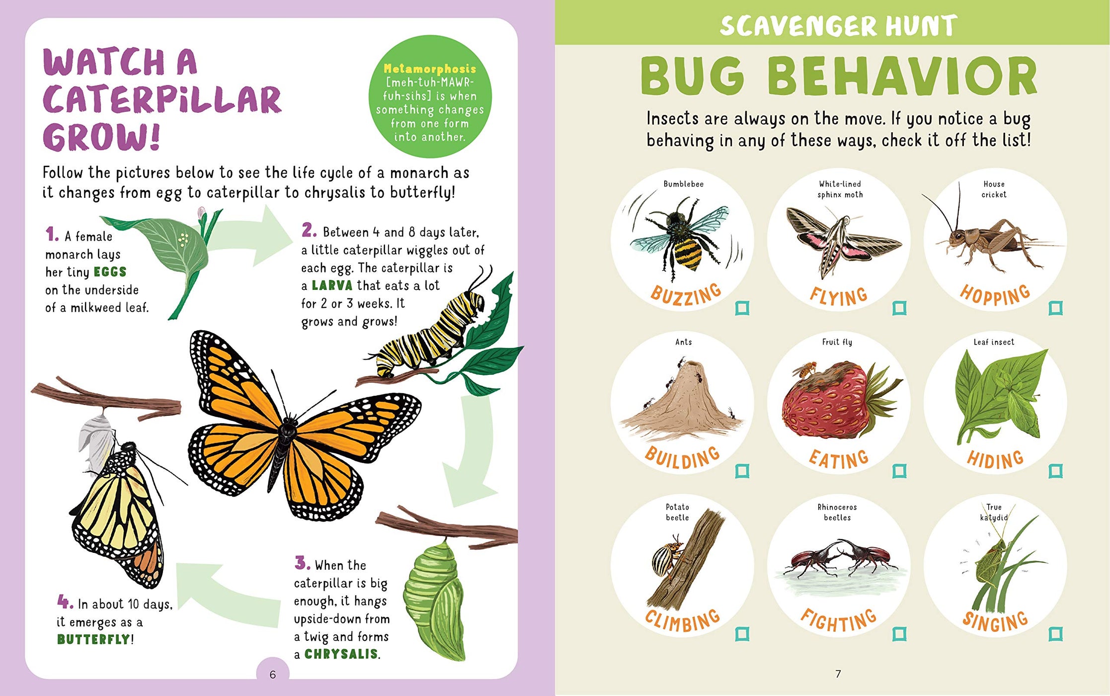 Backpack Explorer: Bug Hunt - Explore Insects with Fun Activities ...