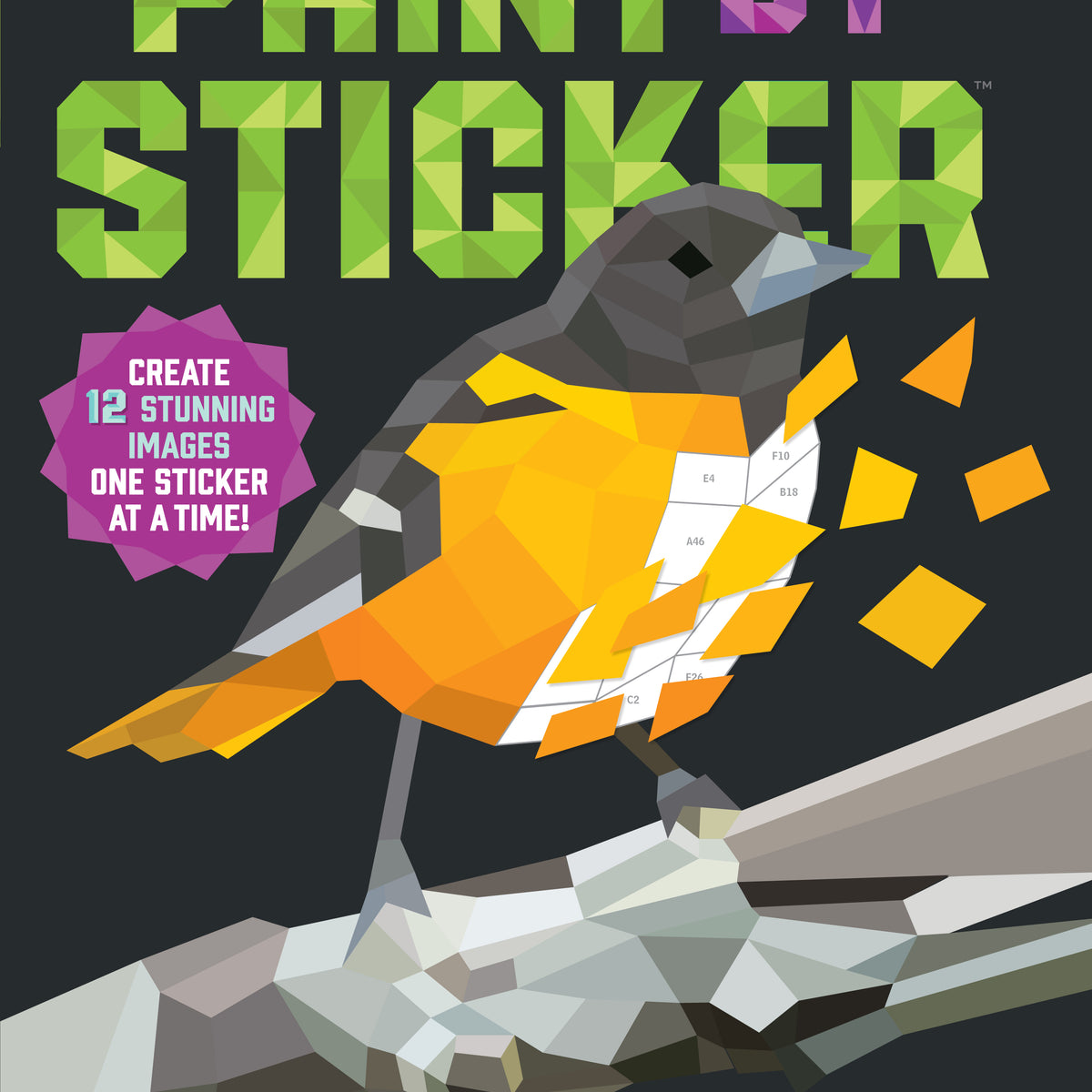 Paint By Sticker Birds - Fun Art Project for Kids — Nature's Workshop Plus