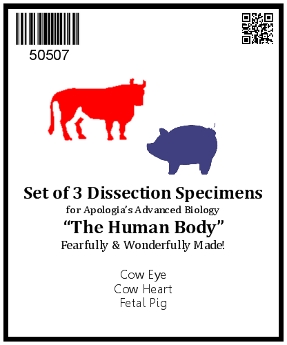 Adv. Biology-Dissec. Specimens — Nature's Workshop Plus