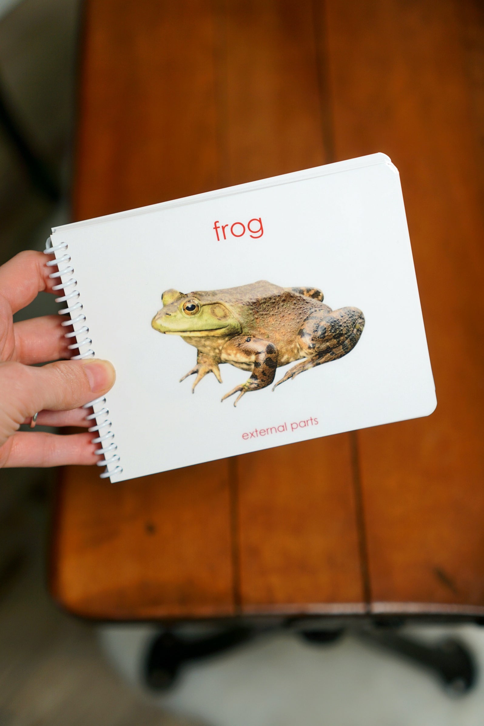 Laminated field Guides 14 variations to choose from — Nature's Workshop ...