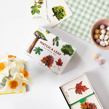 Match a Leaf Game: Tree Identification Game — Nature's Workshop Plus