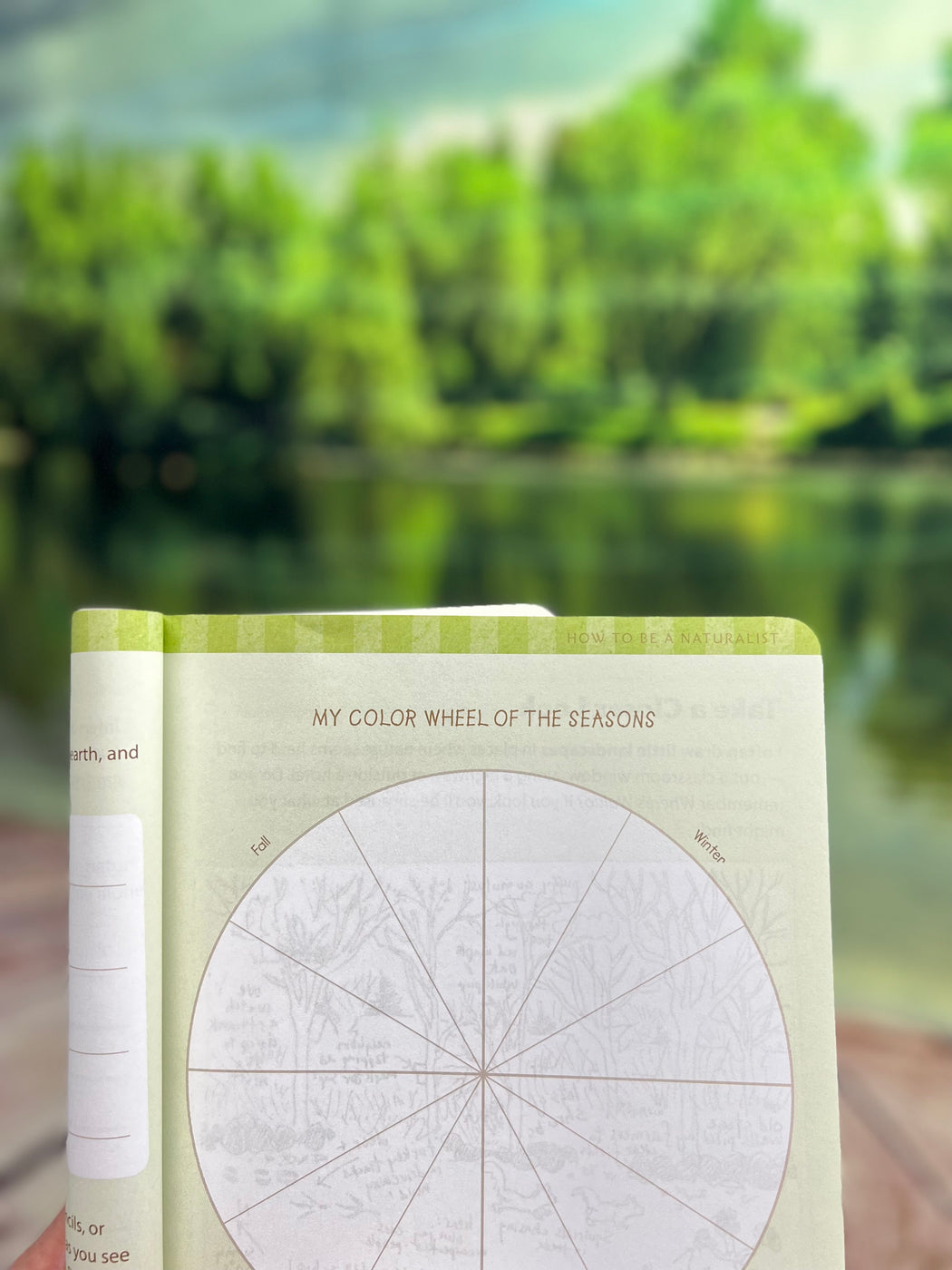 Nature Connection Outdoor Workbook - Explore and Learn — Nature's ...