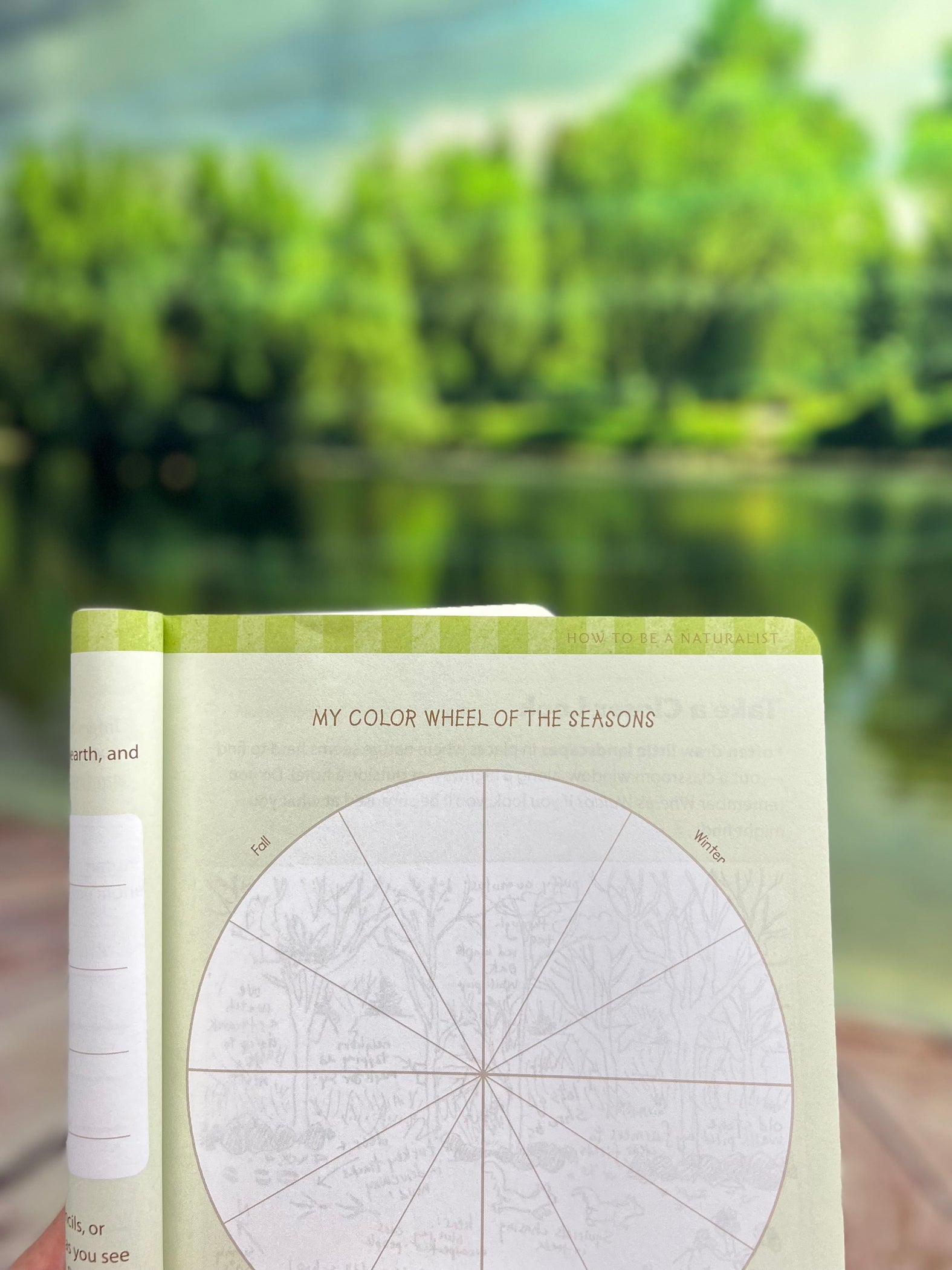 Nature Connection Outdoor Workbook - Explore and Learn — Nature's ...