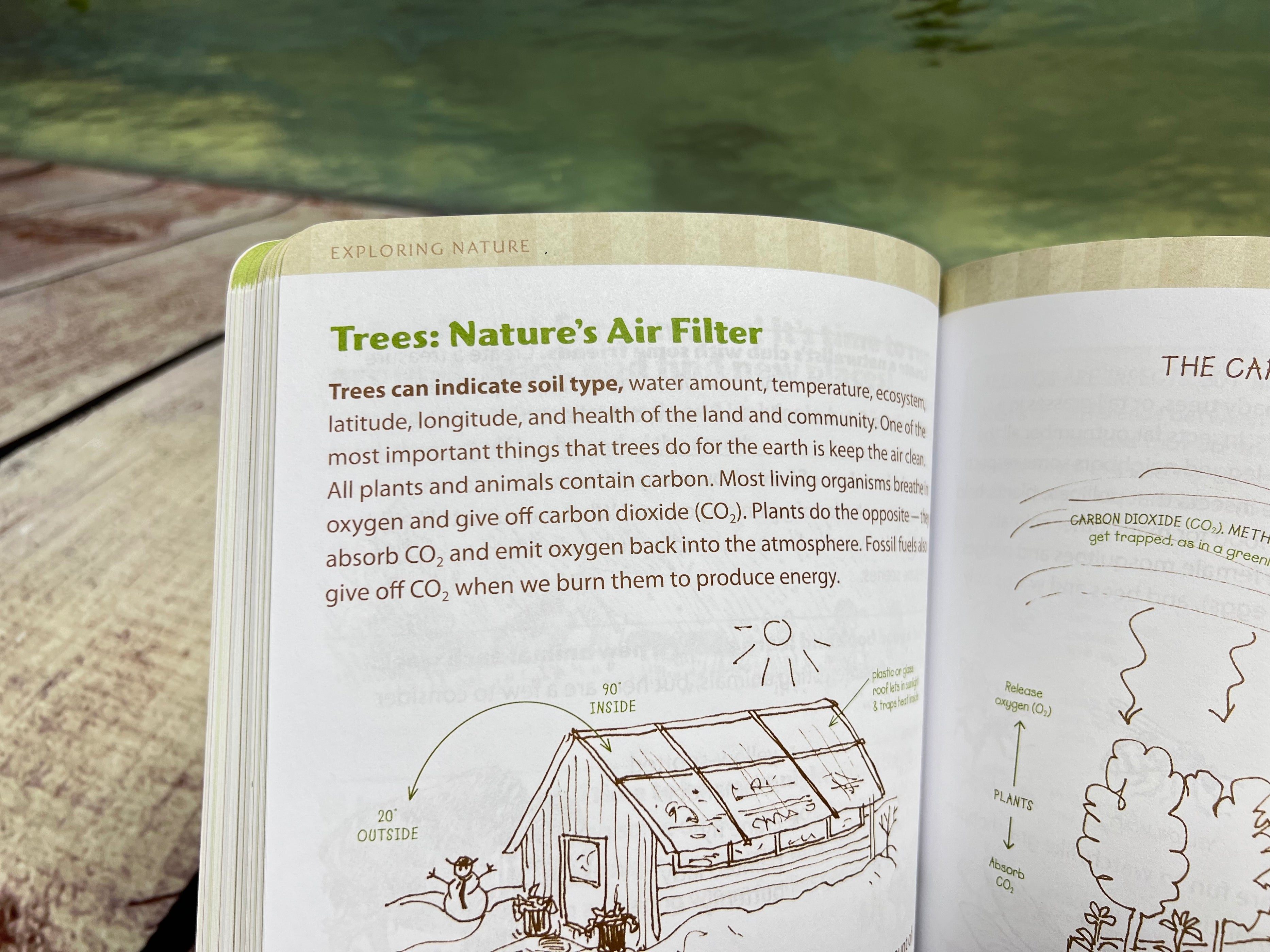 Nature Connection Outdoor Workbook - Explore and Learn — Nature's ...
