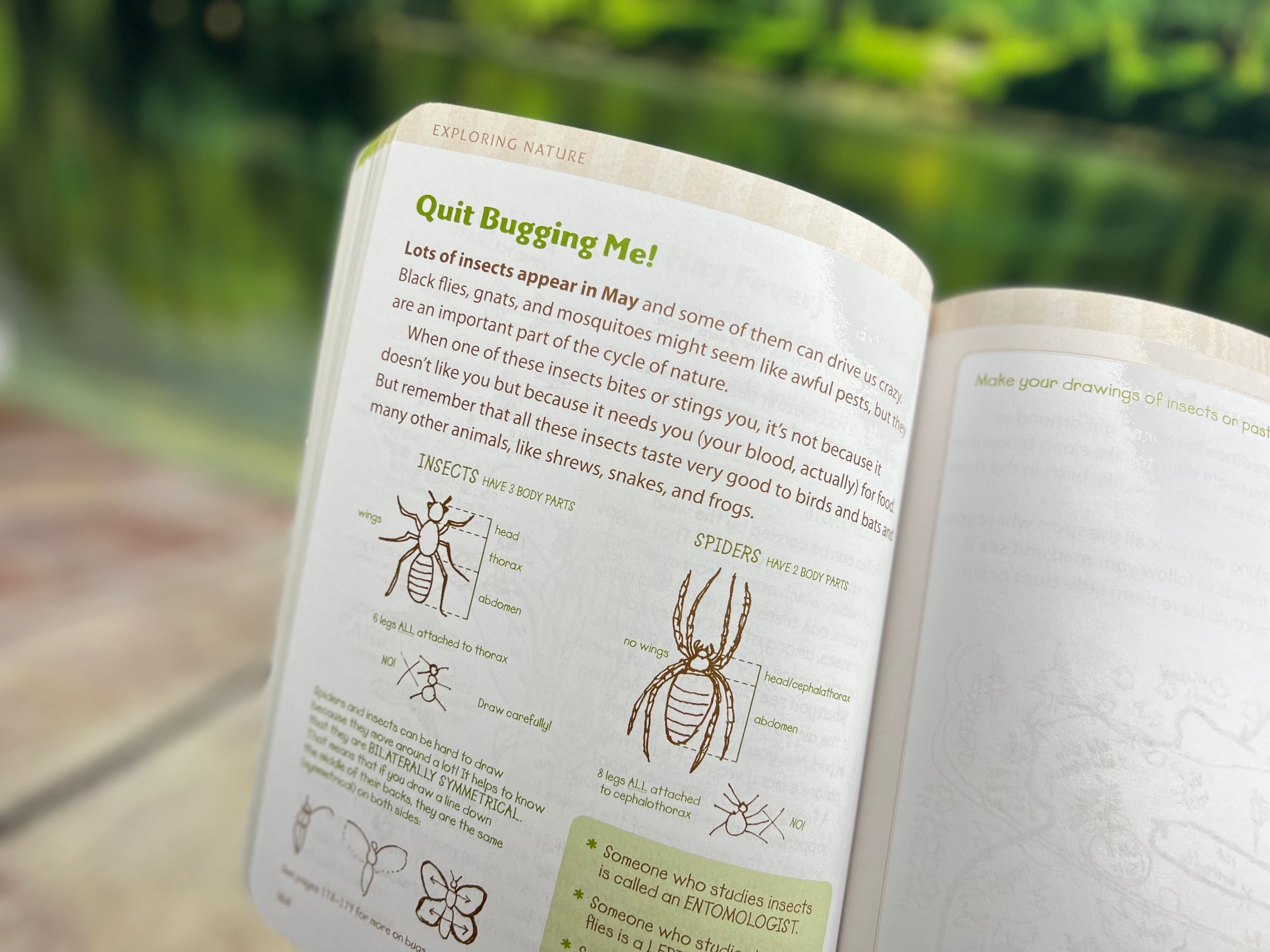 Nature Connection Outdoor Workbook - Explore and Learn — Nature's ...