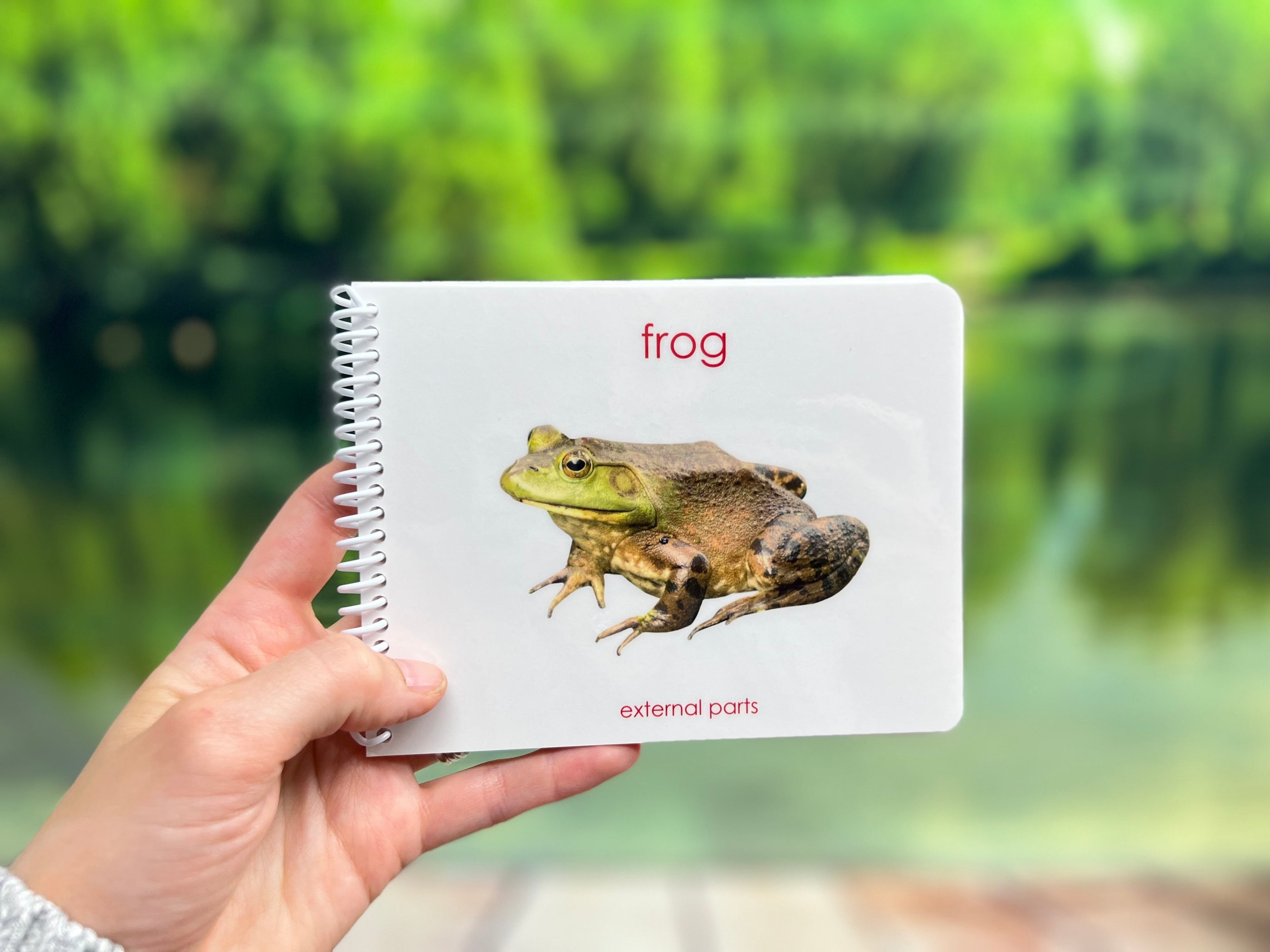 Laminated field Guides 14 variations to choose from — Nature's Workshop ...