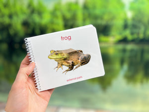 Laminated field Guides 14 variations to choose from — Nature's Workshop ...