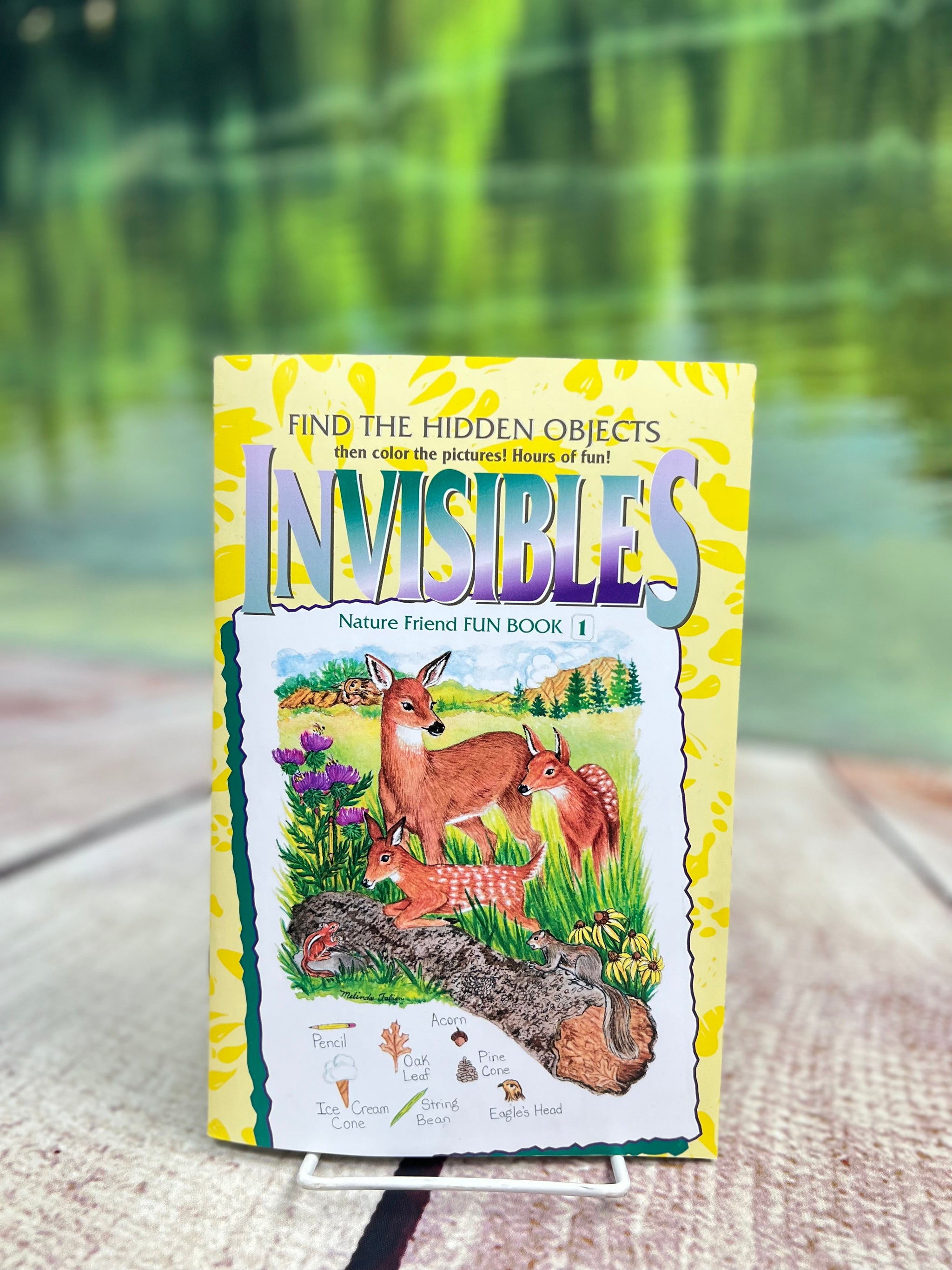 Nature Friend Magazine — Nature's Workshop Plus